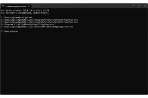 如何在Ubuntu24.04系统上安装Python 3.10：PPA和源码编译两种方法-tgoo分享