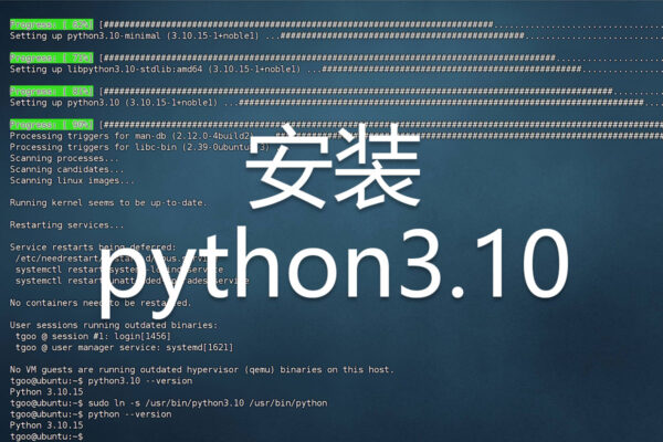 如何在Ubuntu24.04系统上安装Python 3.10：PPA和源码编译两种方法-tgoo分享